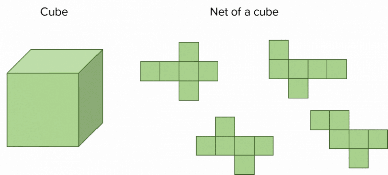 Nets Revision | Practice Questions | Pass Functional Skills