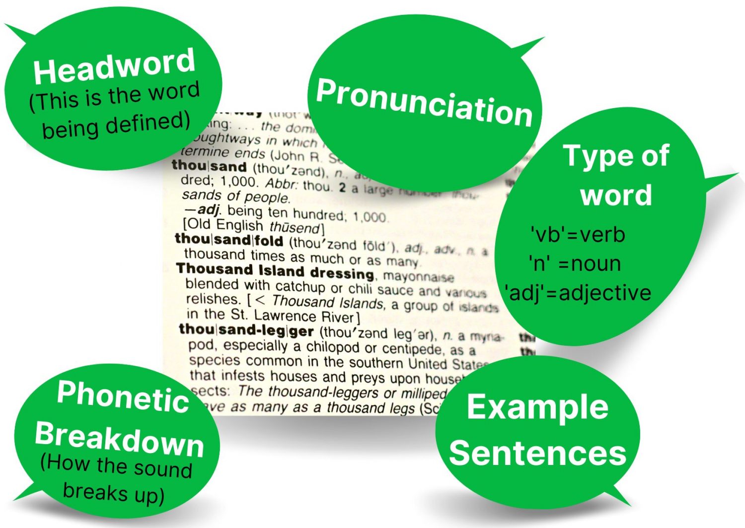 Reading: Specialist Words Revision | Pass Functional Skills