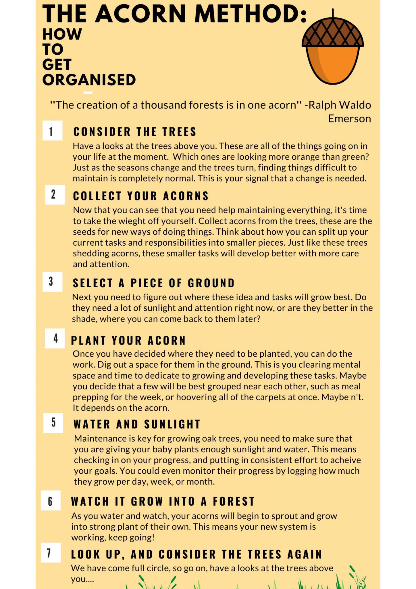 Reading: Presentational Features Revision | Pass Functional Skills